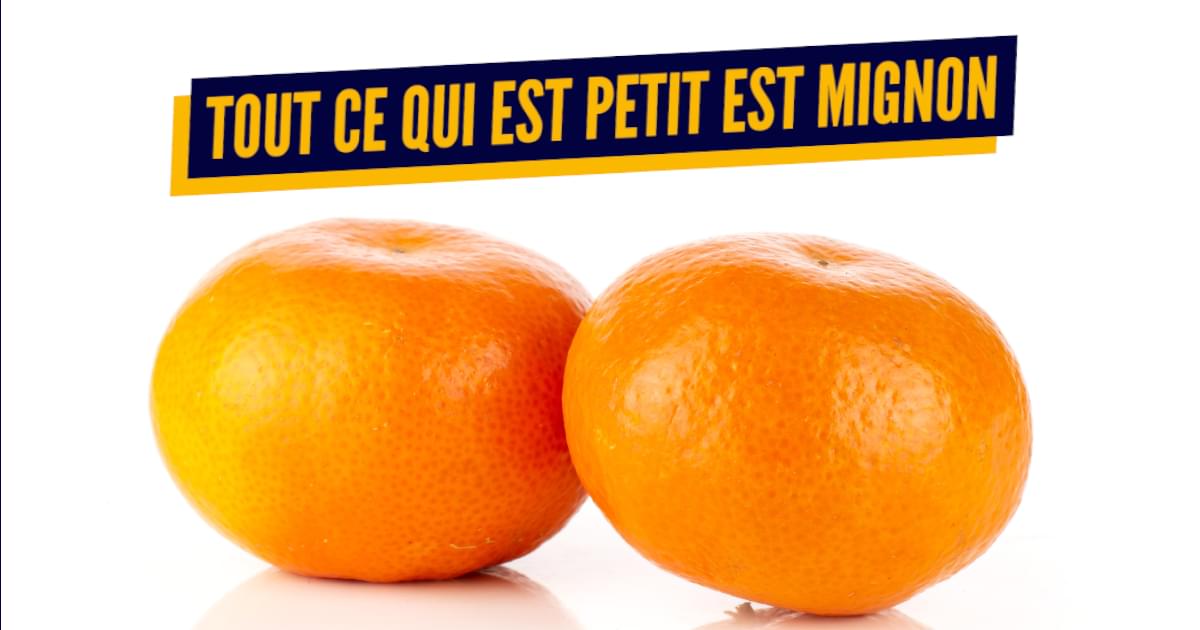 TECNOINFO: Top 10 des bonnes raisons d’avoir des petits seins TECNOINFO: Top 10 des bonnes raisons d’avoir des petits seins