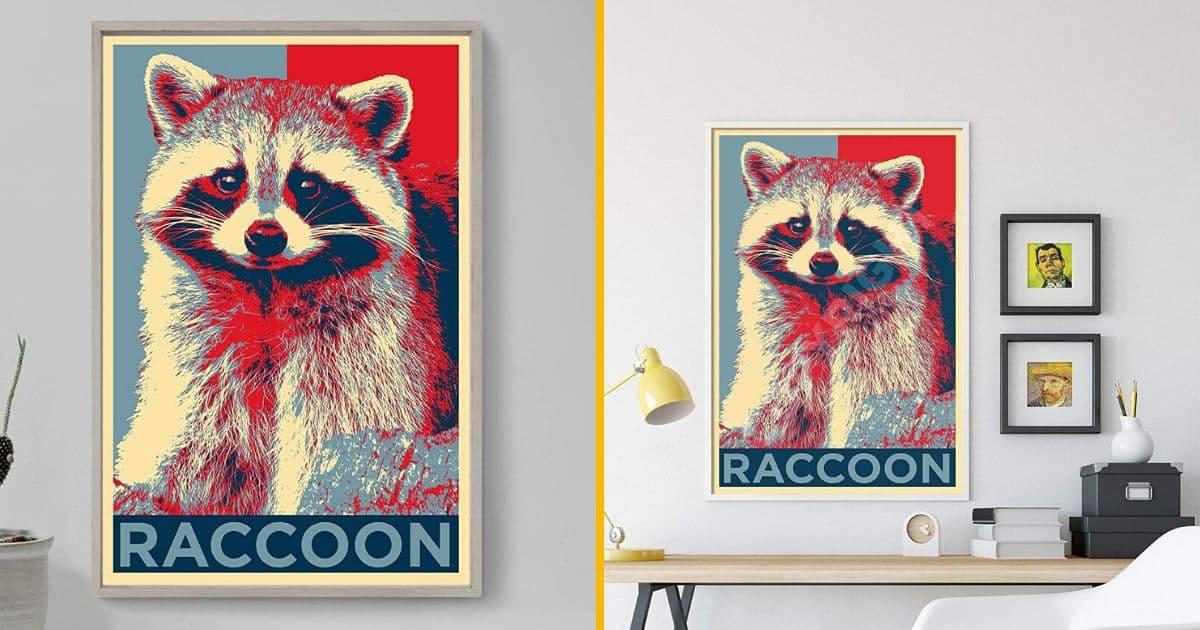 Top 30+ des cadeaux ratons laveurs | Topito