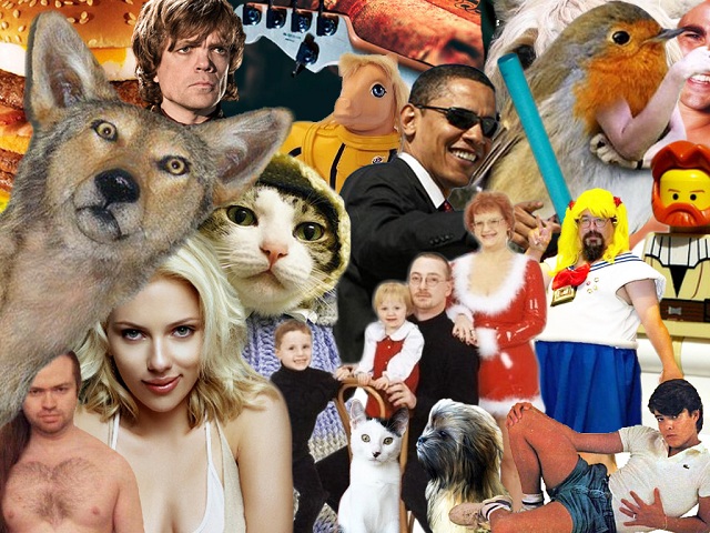 Top 20 des tops les plus partagés sur Topito en 2012