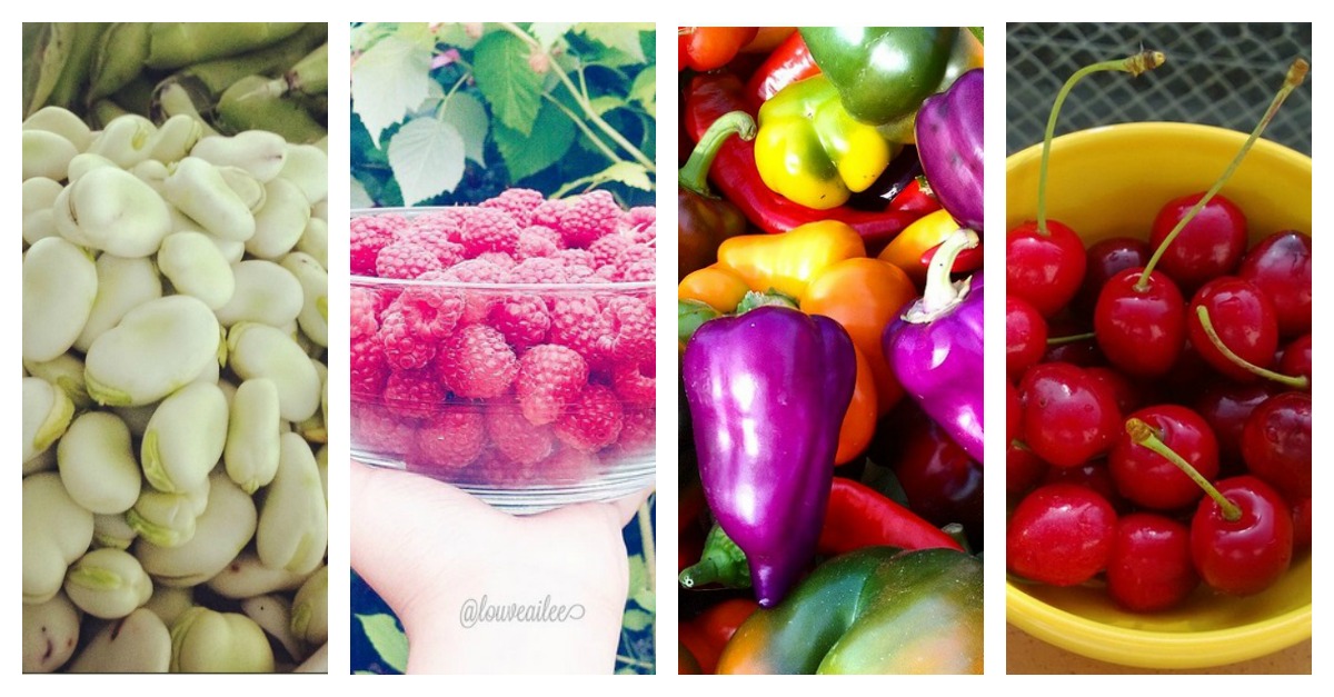 Top 22 des fruits et légumes à consommer en mai, ceux qui sont de saison