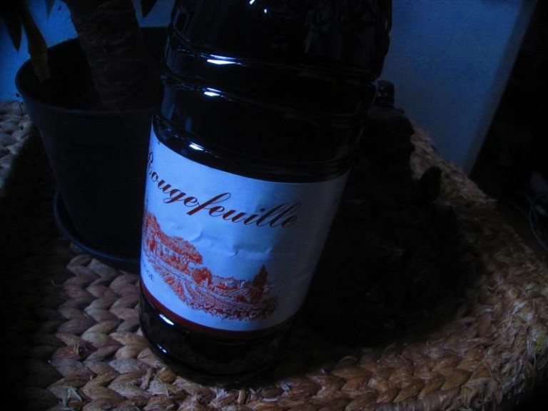 Top 9 des vins en bouteille plastique, le grand guide de la piquette