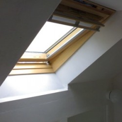 Test: Quel est ton animal totem ? | Topito