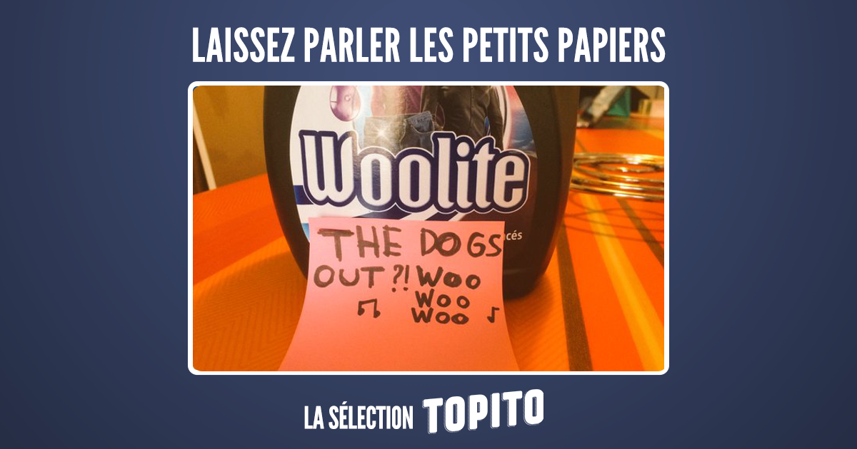 Top 15 des jeux de mots avec des petits papiers, le meilleur du hashtag ...