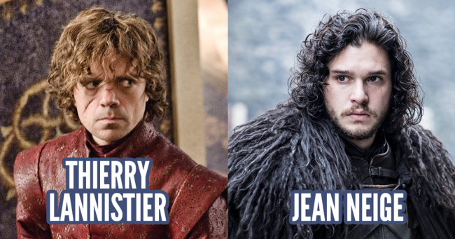 Top 15 des lamas (et un chat) qui ont une sale tronche, la nature ne ...