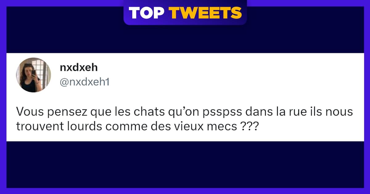 Top 30 des meilleurs tweets sur les chats, ces petites enflures qu’on ...