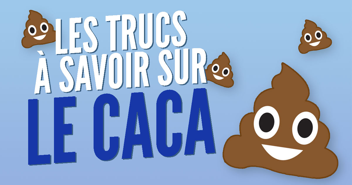 Top 8 des trucs à savoir sur le caca