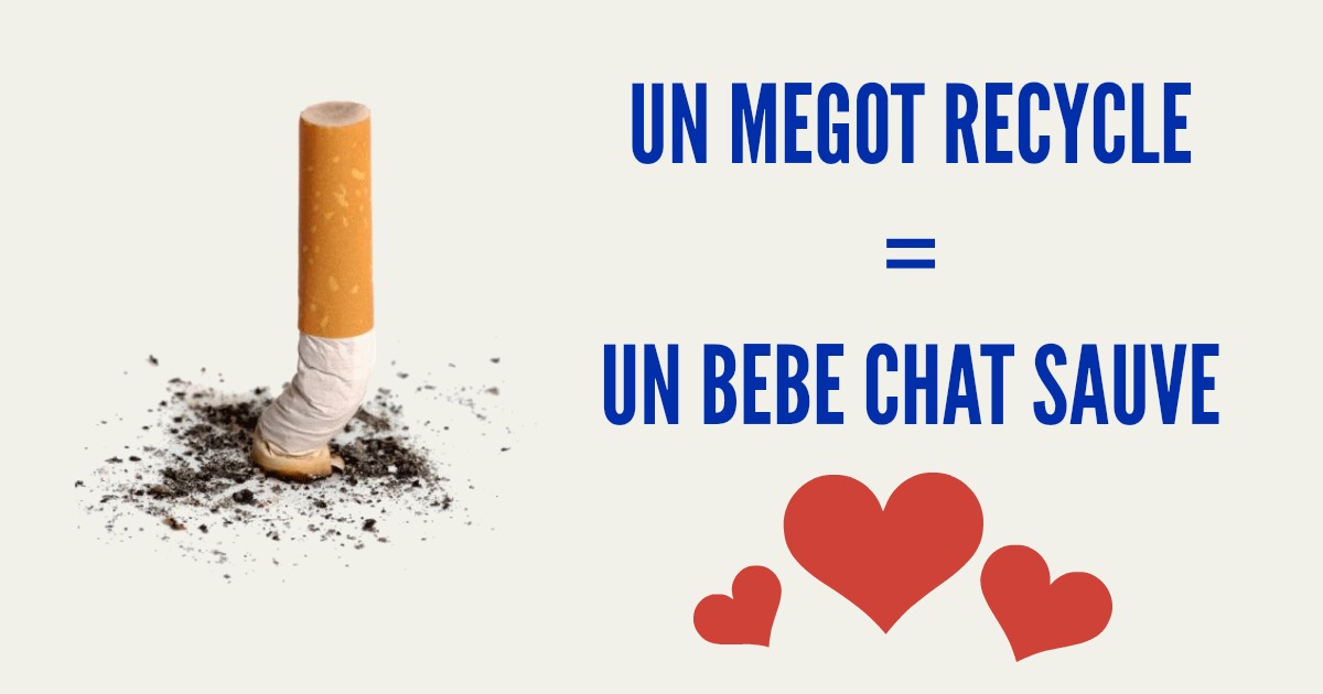 Top 10 des trucs à faire avec ton mégot au lieu de le jeter par terre ...