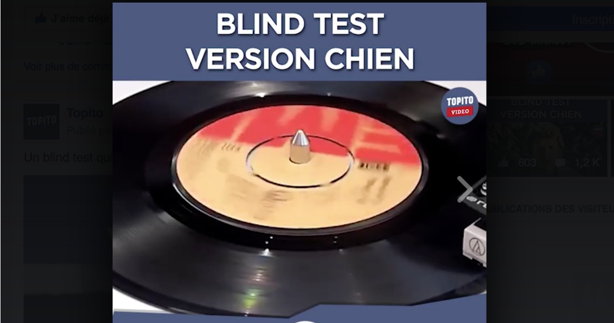 Le 1er grand Blind Test version chien