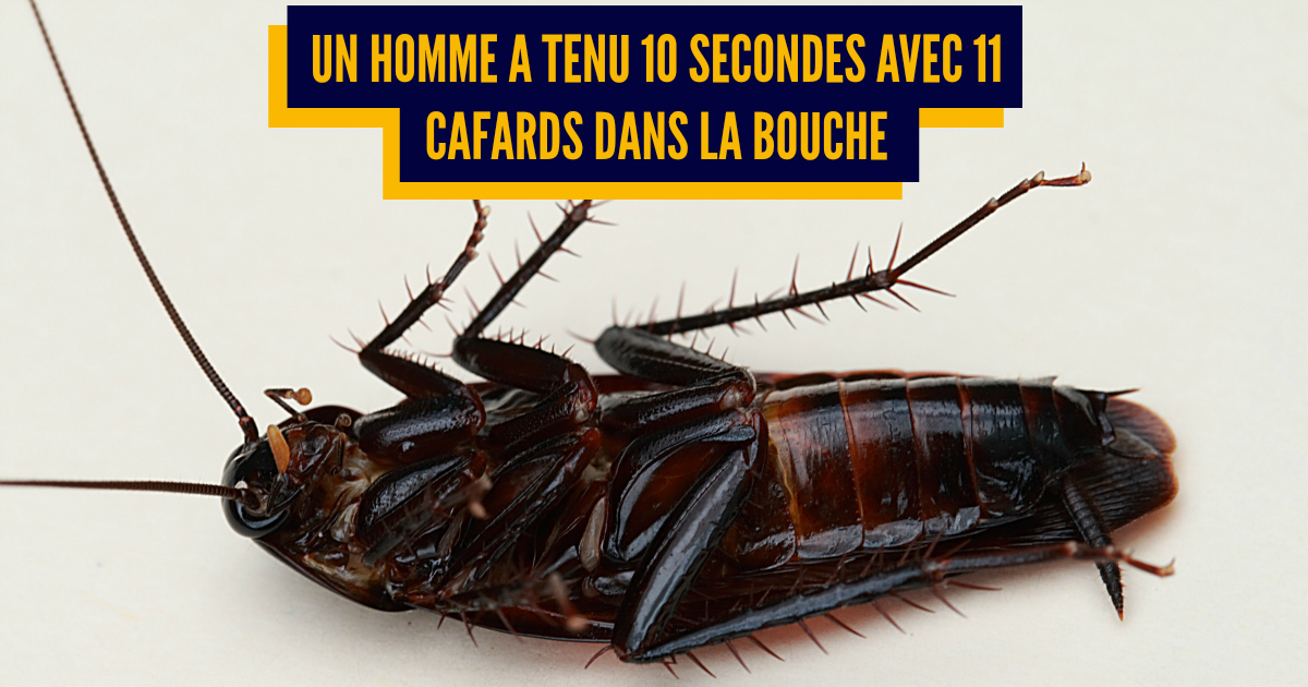 Top 10 des records les plus dégueux du monde, pour bien digérer ton repas