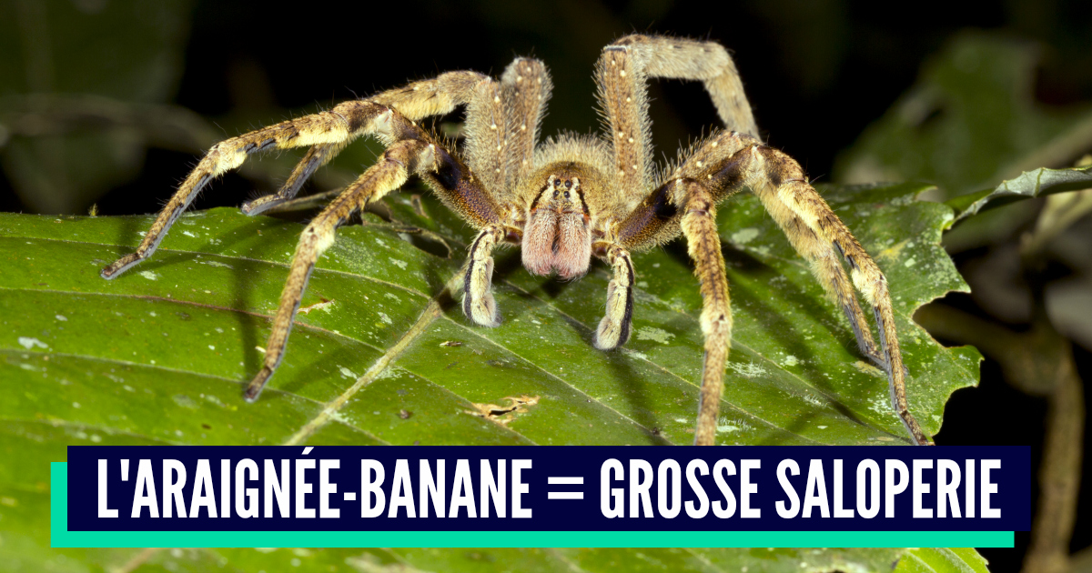 Top 10 des pays à visiter en 2013 selon Lonely Planet | Topito