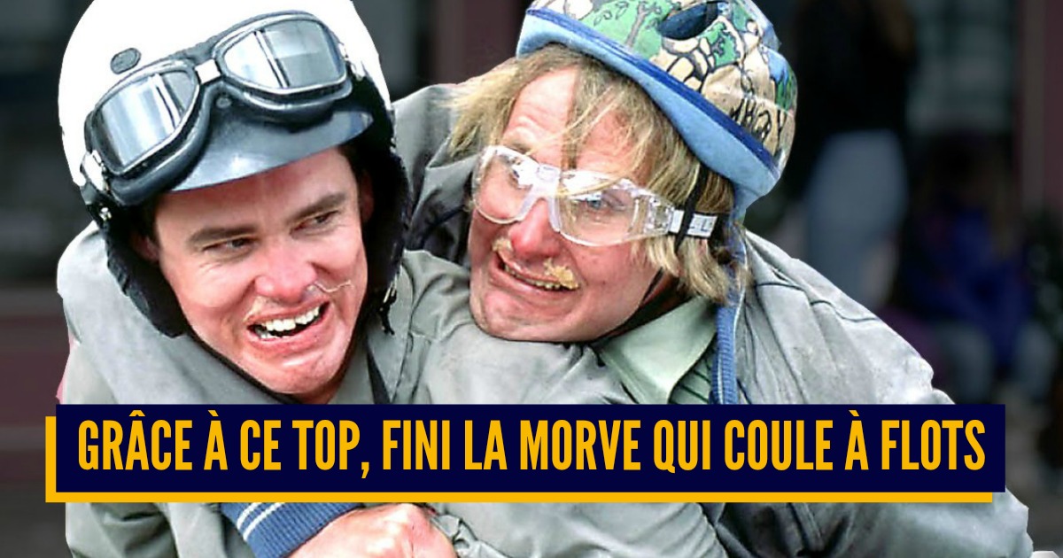 Top 10 des conseils contre le nez qui coule, mort à la morve
