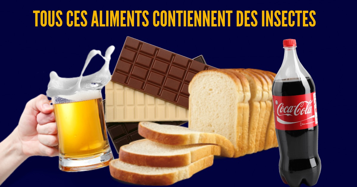 Top 10 des aliments dans lesquels il y a des insectes et on le sait pas