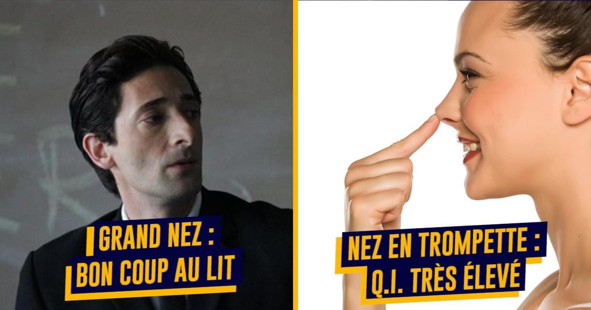 Top 11 des différents types de nez en illustrations, vive les grands nez