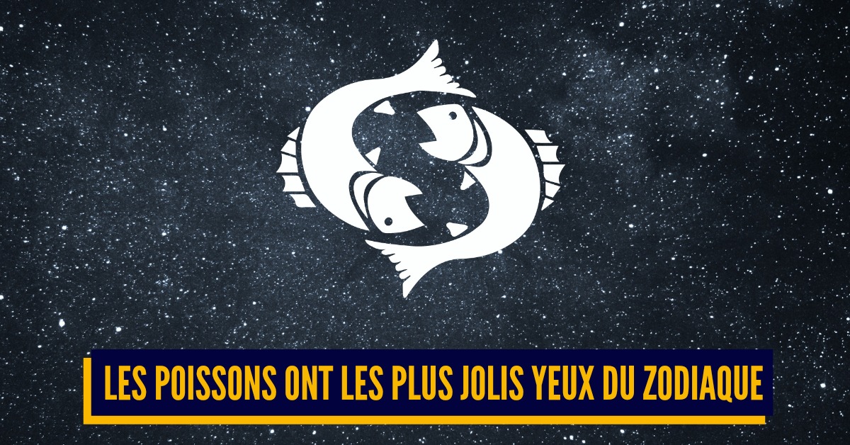 Top 10 des raisons de sortir avec un Poissons, les plus mims de l’océan