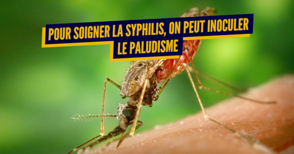 Top 10 des poisons qui sont aussi des traitements, rien n’est blanc ou ...