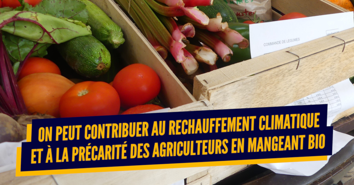 Top 10 des conseils pour acheter bio correctement et devenir bioman