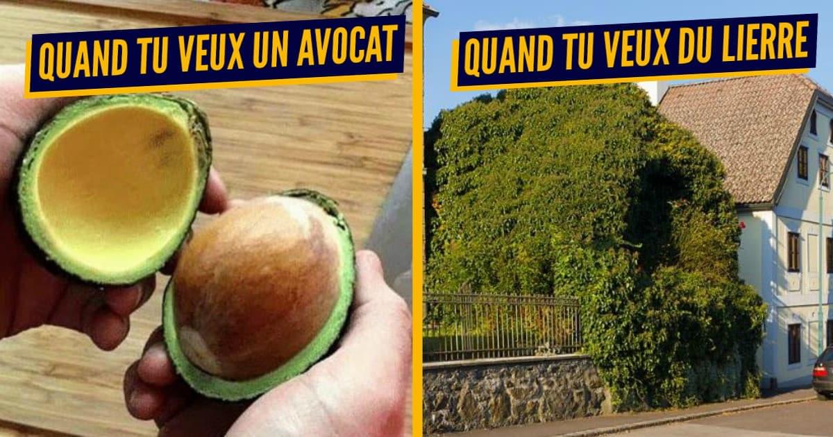 Top 14 des bonnes blagues de la nature, elle a de l’humour la diablesse