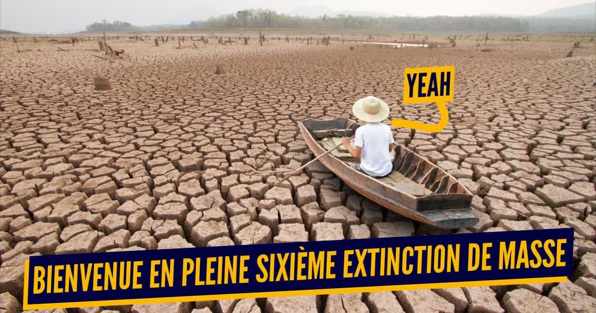 TECNOINFO: Top 6 des meilleures extinctions de masse, celles qui font ... TECNOINFO: Top 6 des meilleures extinctions de masse, celles qui font ...