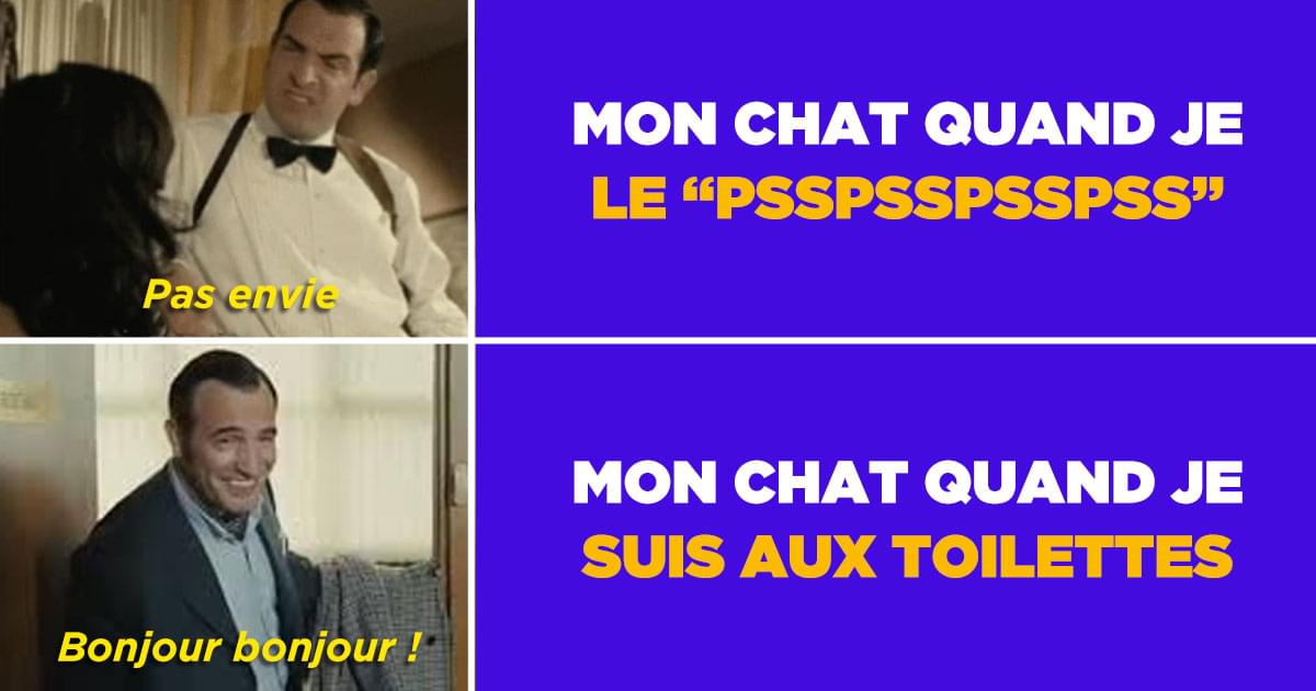 Top 14 des meilleurs memes sur les chats