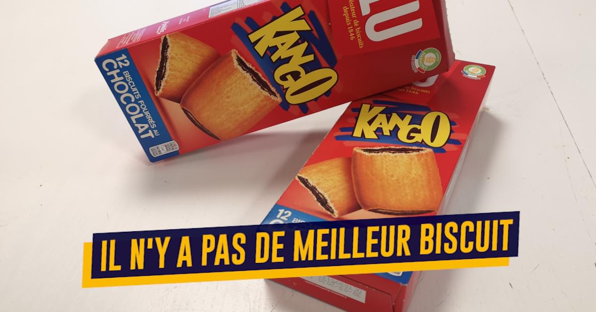Top 10 des preuves que les Kango sont les meilleurs biscuits de la Création