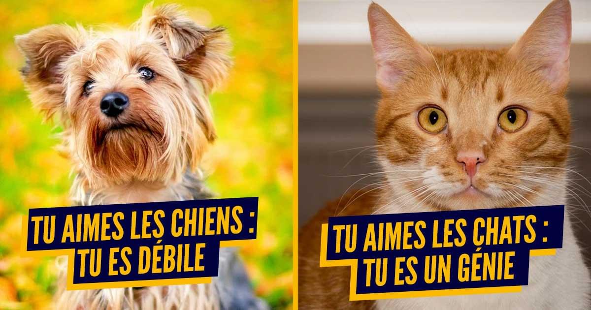 Top 10 des signes que tu es bête, vraiment très bête (selon la science)