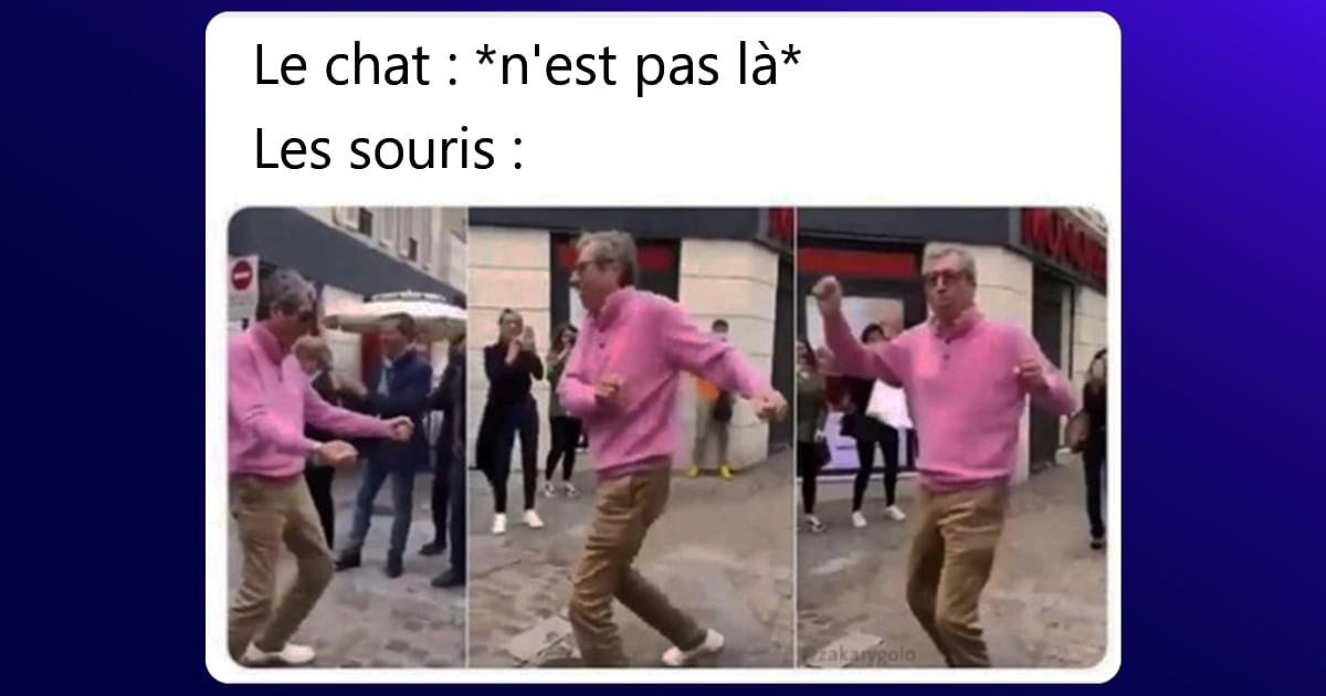 Top 15 des memes les plus drôles sur Balkany qui danse