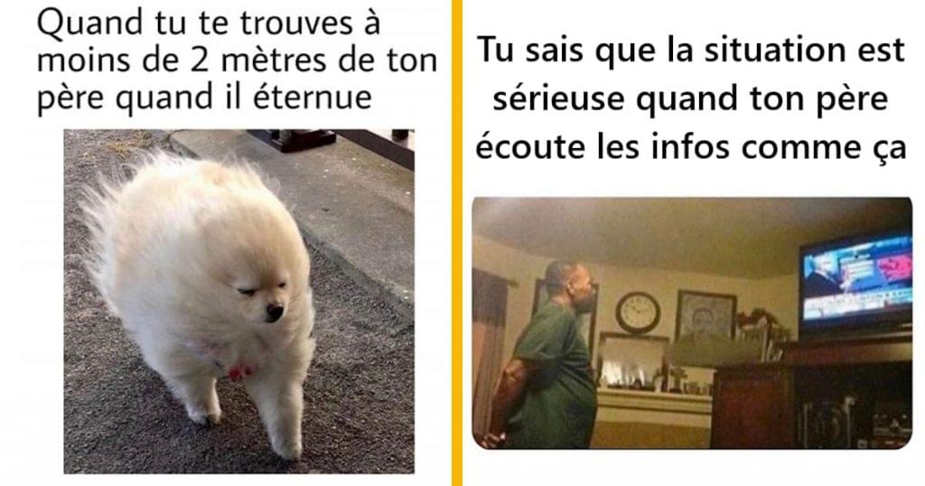 TECNOINFO: Top 15 des memes les plus drôles sur les papas, ces êtres ...