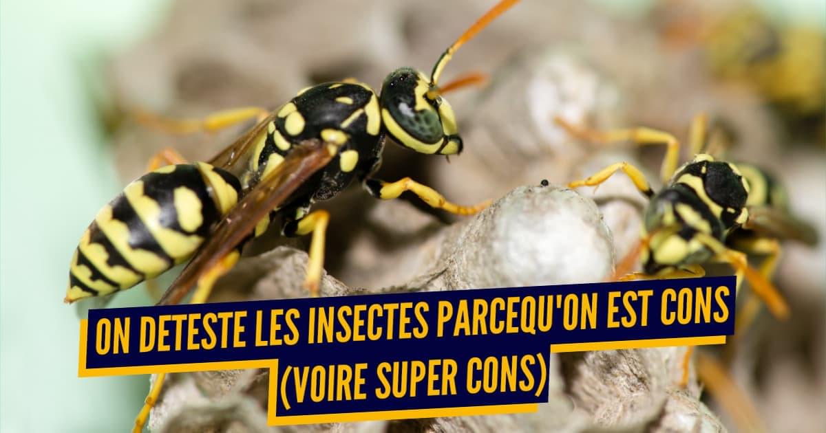 Top 10 des raisons scientifiques qui expliquent pourquoi on a peur des ...