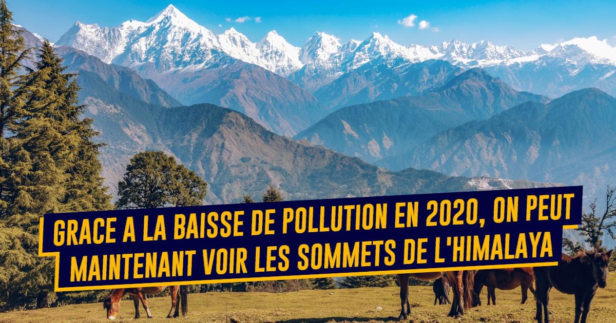 Top 20 des photos qui montrent que le ciel est moins pollué, on respire ...