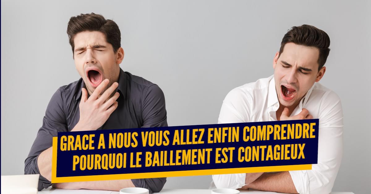 Pourquoi on bâille