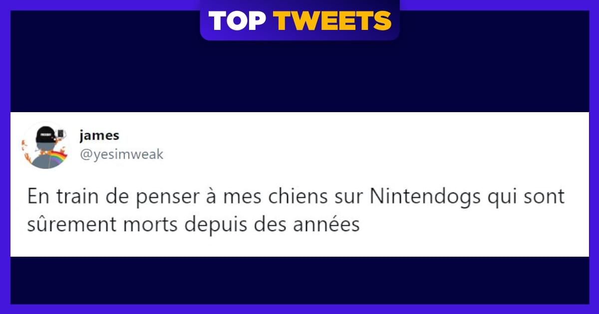 Top 15 des meilleurs tweets sur la Nintendo DS, toute une époque