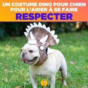 TOP 30 des meilleures blagues de beauf JustBeBeauf