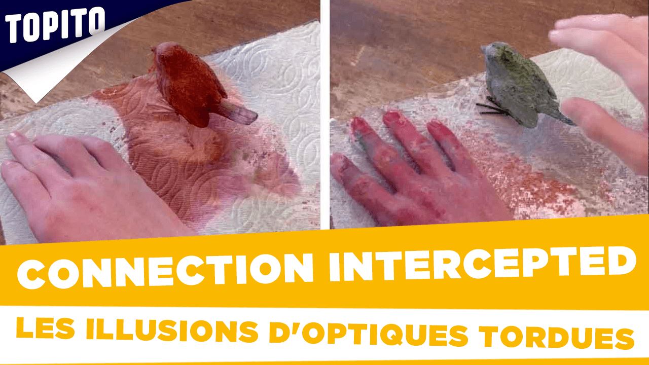 Les illusions d’optiques tordues de Connection Intercepted