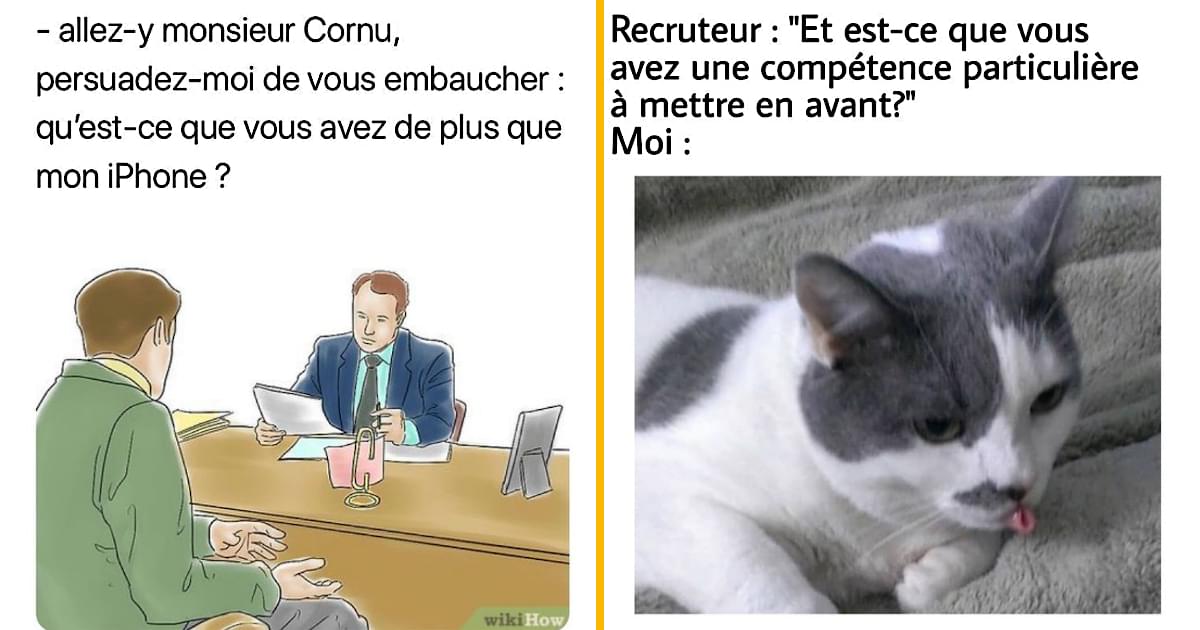 Top 20 des memes drôles sur les entretiens d’embauche, ce truc trop ...