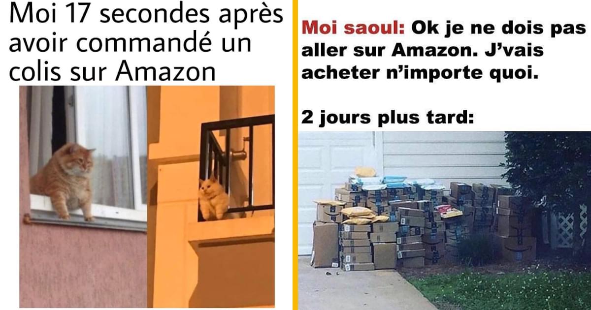 Top 23 des memes drôles sur les colis, les boîtes en carton qu’on ...