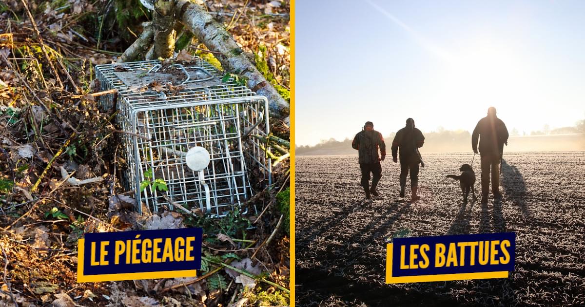 Top 10 des techniques de chasse que l’on peut toujours utiliser (on en ...