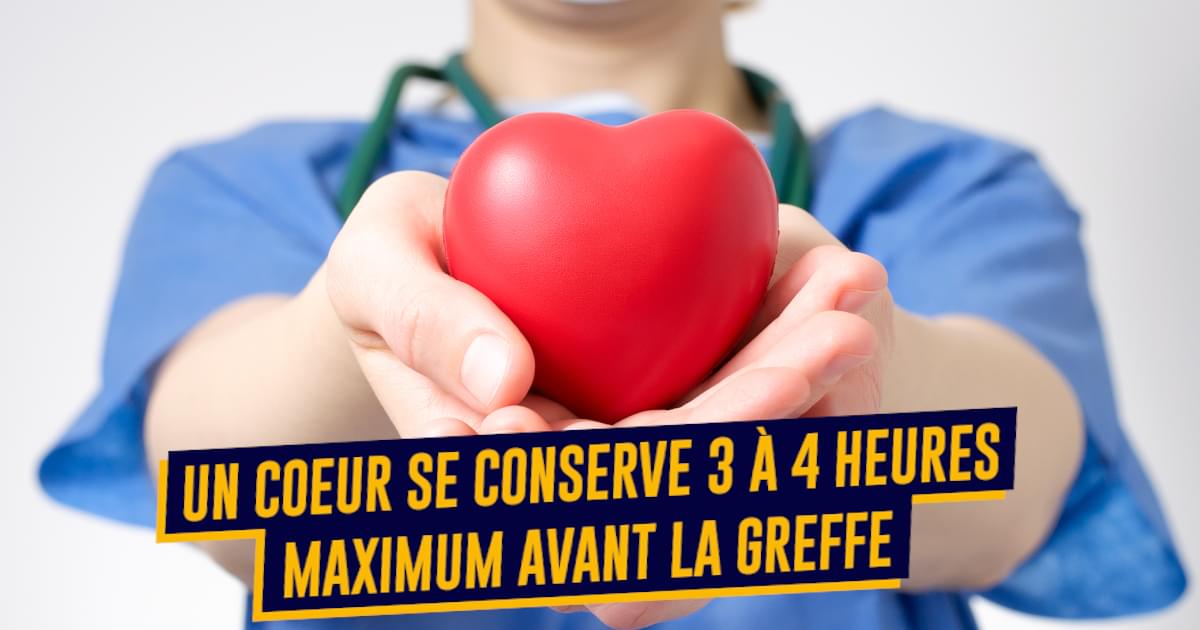 Top 10 des questions qu’on se pose sur les greffes