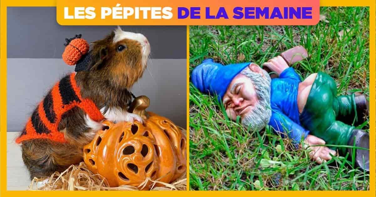 Top 7 des objets qui nous ont fait marrer cette semaine #55