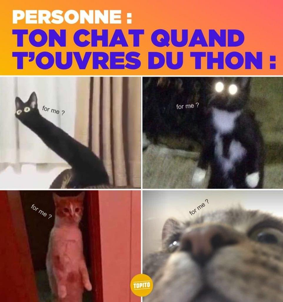 Top 30+ des blagues d'humour noir | Topito