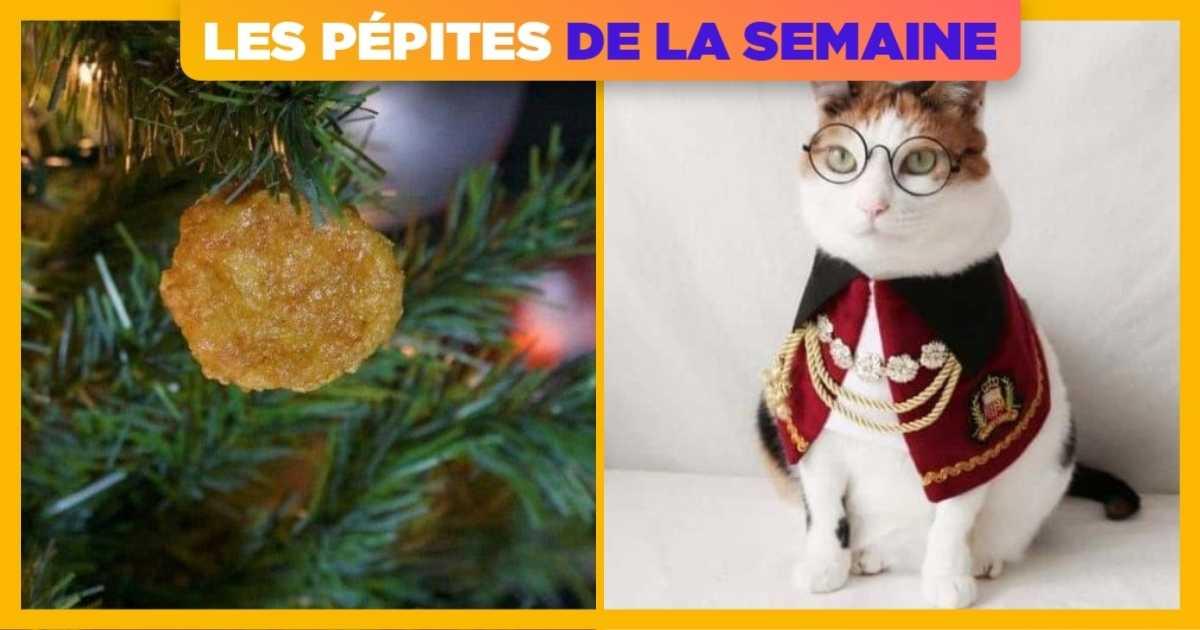 Top 7 des objets qui nous ont fait marrer cette semaine #57