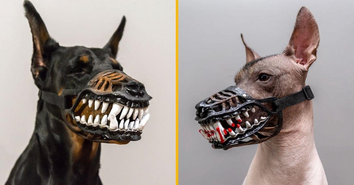 loup-garou (créature) : top listes et classements | Topito