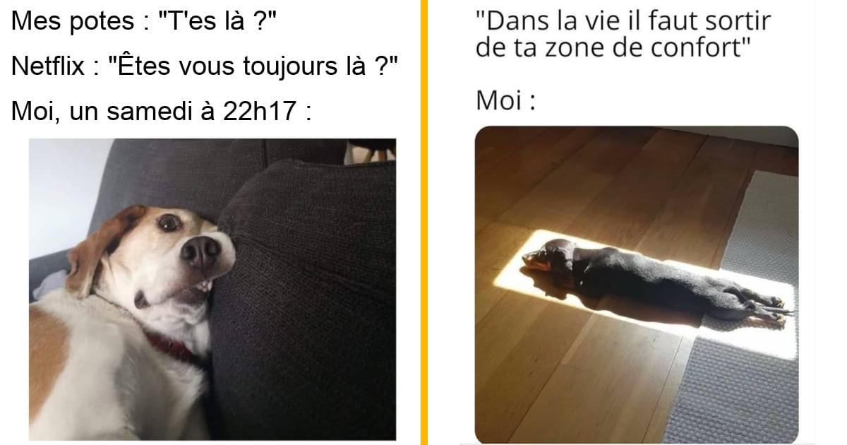 Top 16 des meilleurs memes sur la flemme de sortir, plutôt Netflix que ...