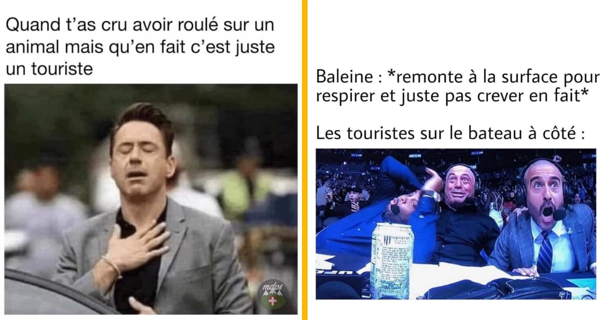 TECNOINFO: Top 24 des meilleurs memes sur les touristes, ces gens relous