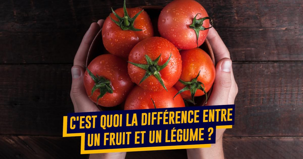Top 10 des réponses aux grandes questions qu’on se pose sur la bouffe
