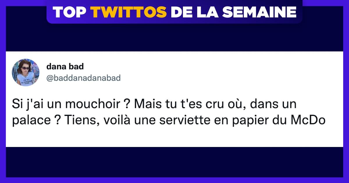 Top 10 des meilleurs tweets de @baddanadanabad, la bad Dana