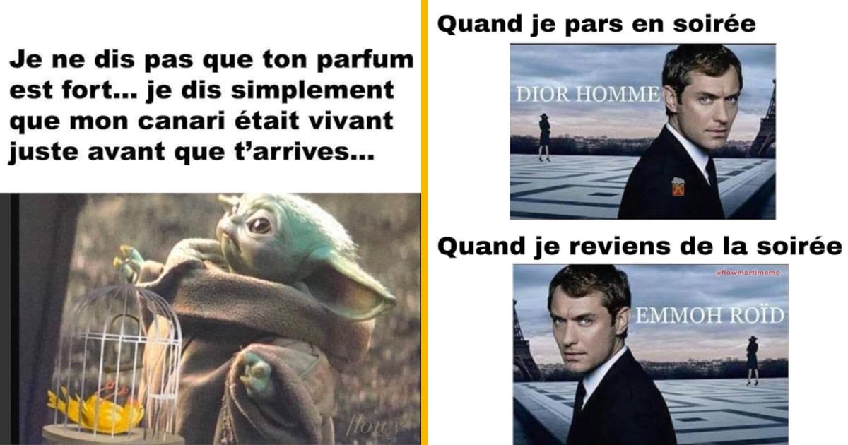 Top 15 des meilleurs meme sur le parfum, ça cocotte fort