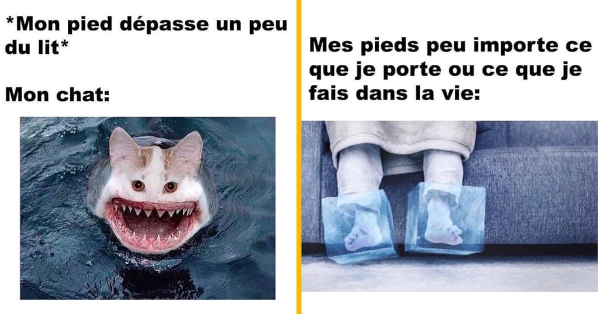 Top 20 des meilleurs memes sur les pieds, un top qui sent bon