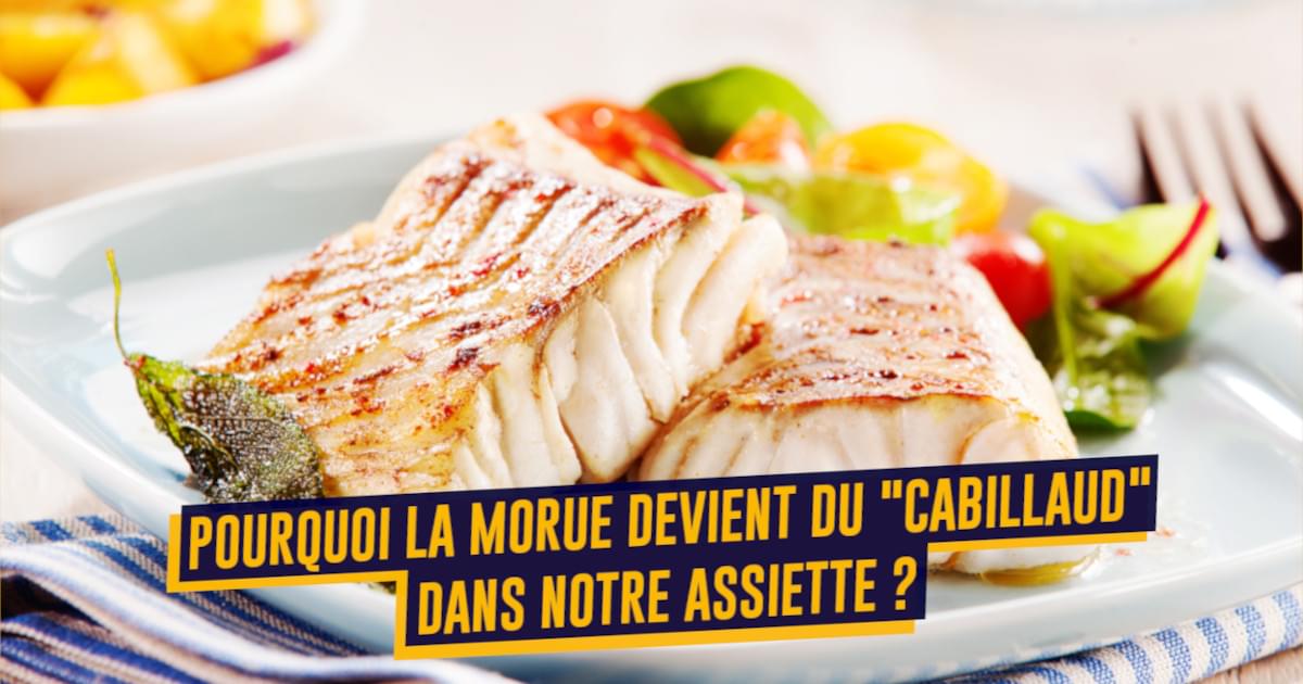 Top 11 des aliments qui changent de noms quand on les mange, c’est à n ...