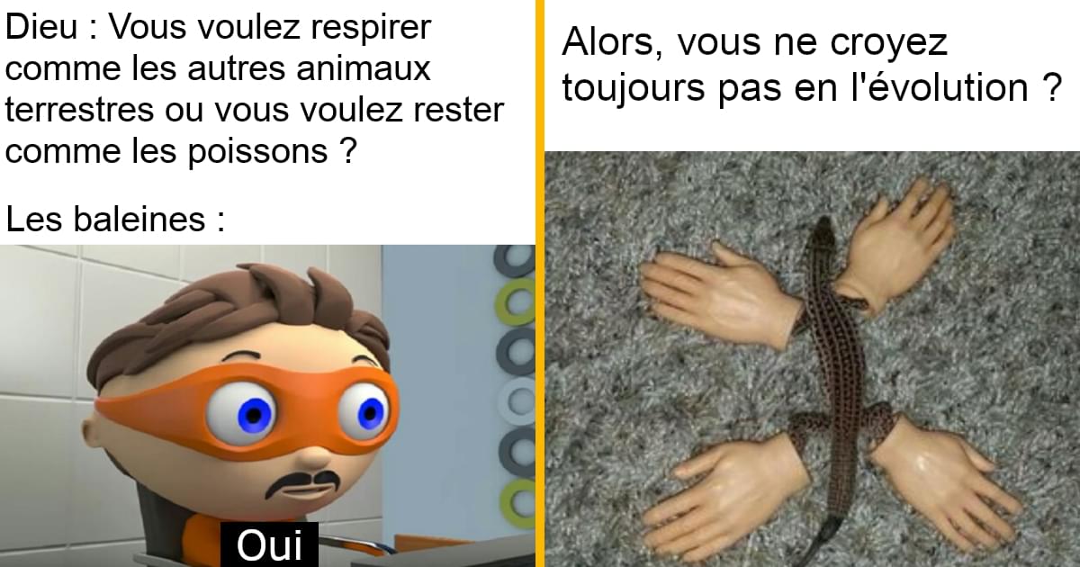 Top 15 des meilleurs memes sur l’évolution, pour les pro-Darwin