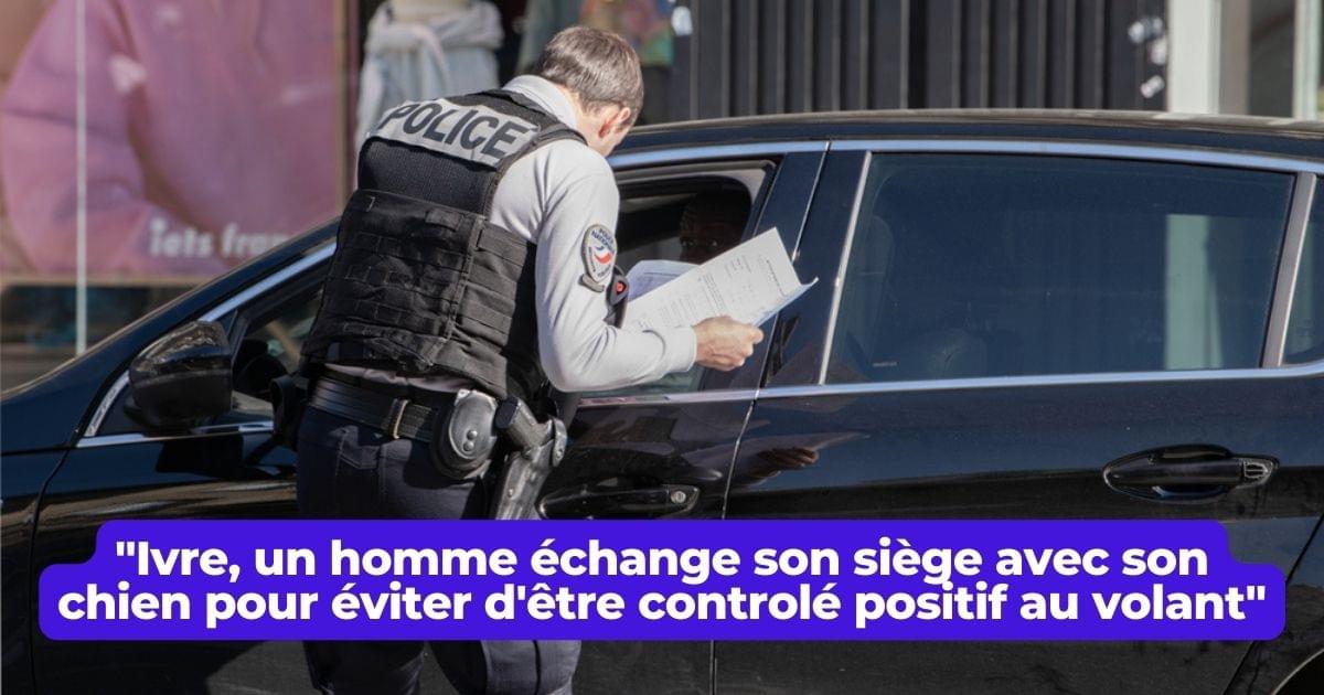 Top 10 des faits divers les plus débiles, les champions de la semaine #431